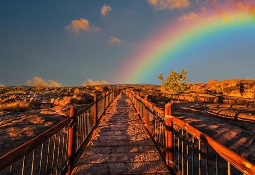 Saiba o que é e como se faz a abertura de caminhos