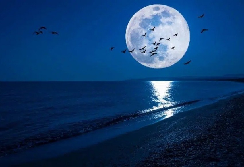 12 de agosto - A última Super Lua Cheia do ano está aí!