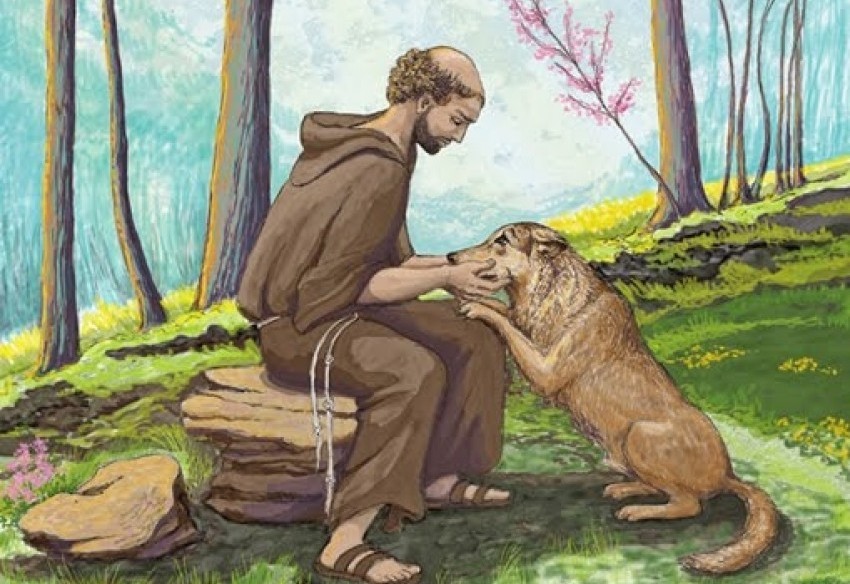 Oração a São Francisco para curar um animal doente